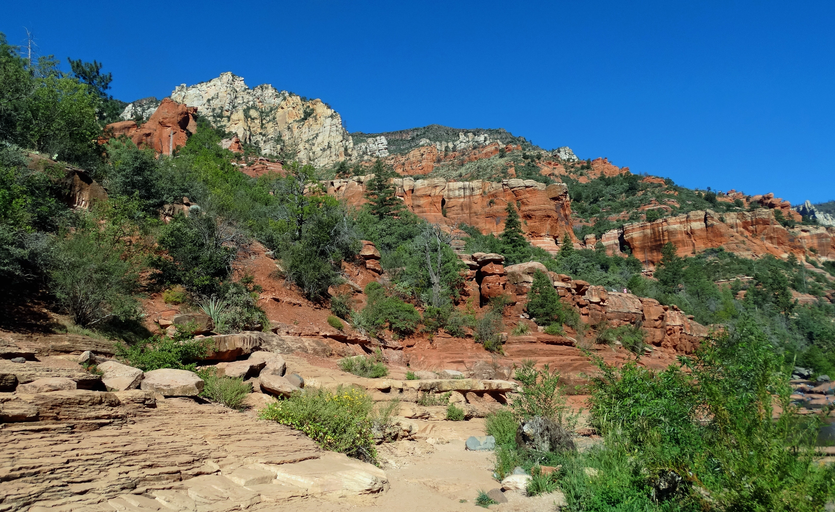 Admiring Arizona's Stunning Red Rocks - Skeehive